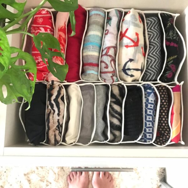 COLMENA TELA – Espacios Logrados